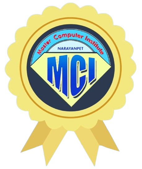 Master Computer Institute